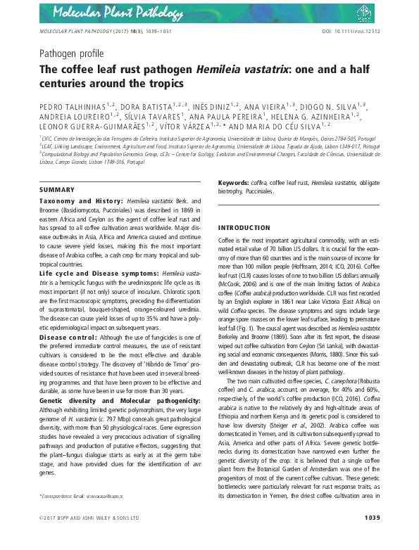 (PDF) The Coffee Leaf Rust pathogen Hemileia vastatrix : One and a half ...
