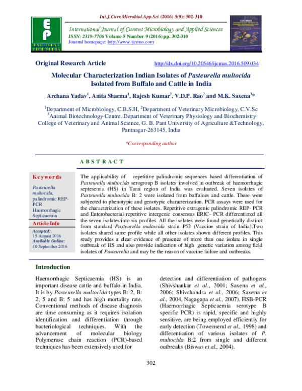 Pdf Molecular Characterization Indian Isolates Of Pasteurella