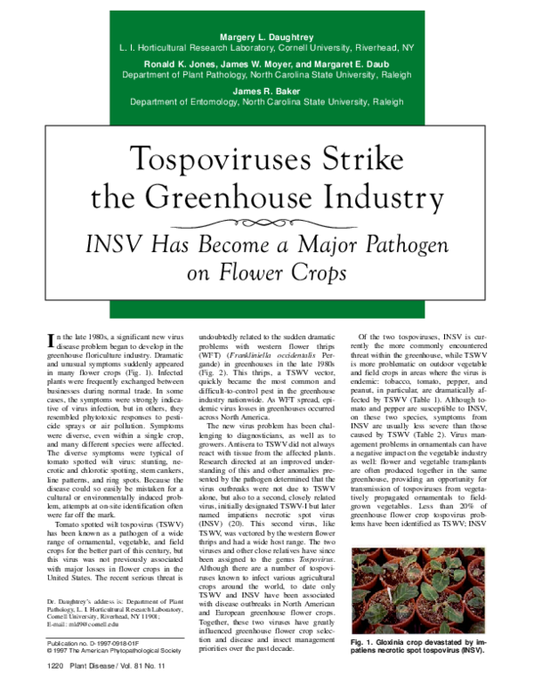(PDF) Tospoviruses Strike the Greenhouse Industry: INSV Has Become a ...