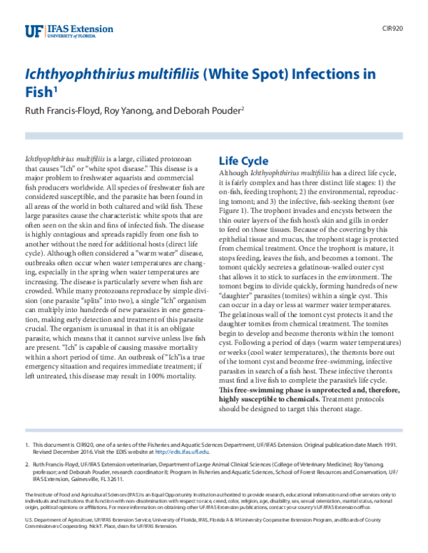 (PDF) Ichthyophthirius multifiliis (White Spot) Infections in Fish 1