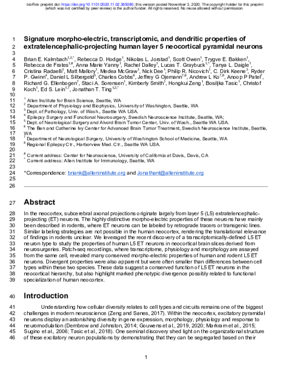 (PDF) Morpho-electric Traits of Human Layer 5 Neurons