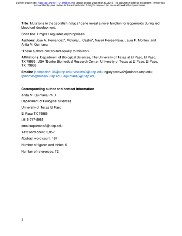 (PDF) Mutations in the zebrafish hmgcs1 gene reveal a novel function ...