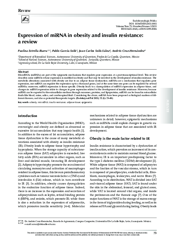Expression Of Mirna In Obesity And Insulin Resistance A Review
