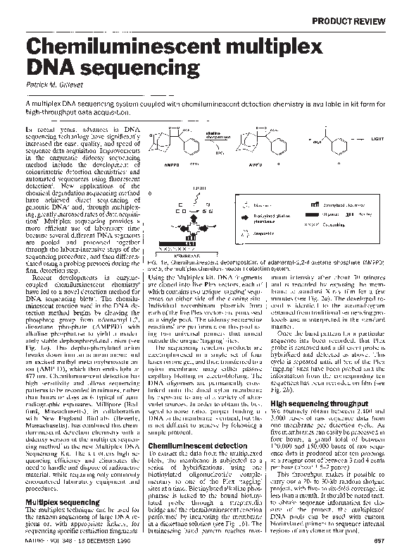 (PDF) Chemiluminescent multiplex DNA sequencing