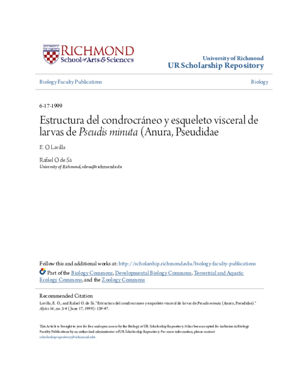 (PDF) Estructura del condrocráneo y esqueleto visceral de larvas de ...