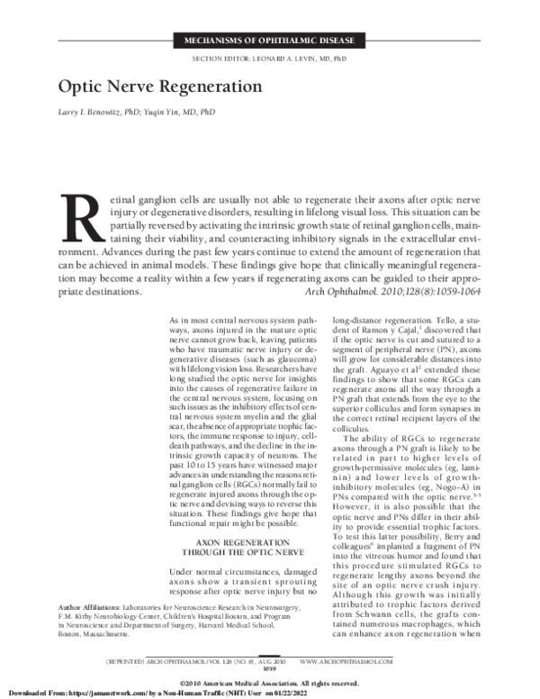 (PDF) Optic Nerve Regeneration
