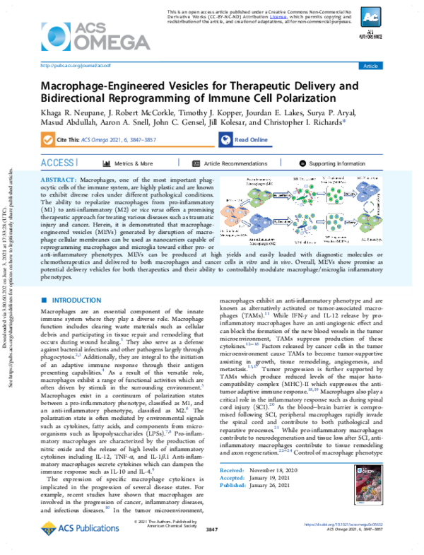 (PDF) Macrophage-Engineered Vesicles for Therapeutic Delivery and ...