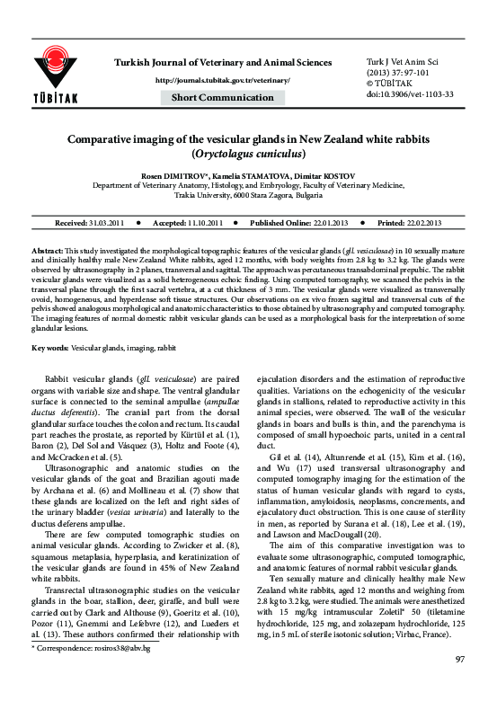 (PDF) Comparative imaging of the vesicular glands in New Zealand white ...