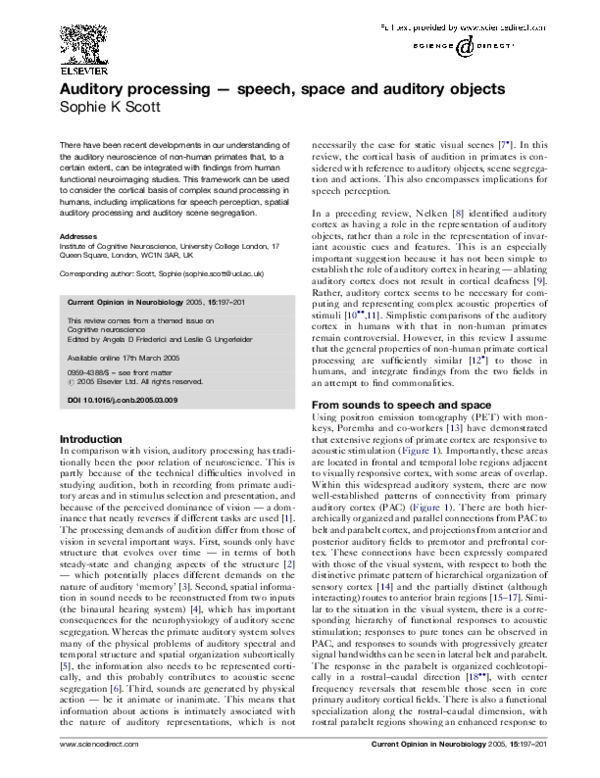 (PDF) Auditory processing--speech, space and auditory objects
