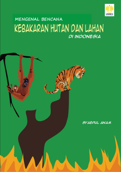 (PDF) KEBAKARAN HUTAN DAN LAHAN DI INDONESIA SEBAGAI SUPLEMEN BAHAN AJAR
