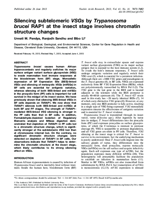 (PDF) Comparative Analysis for Renal Stereotactic Body Radiation ...