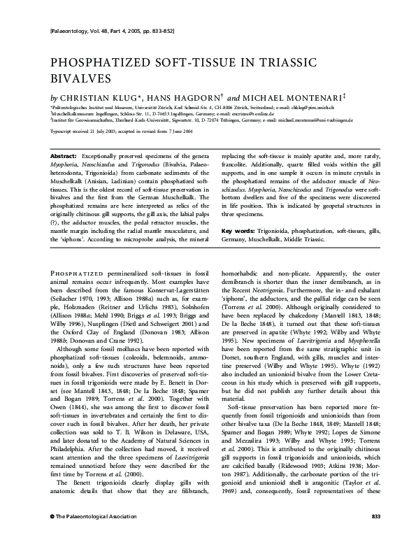 (PDF) Phosphatized Soft-Tissue in Triassic Bivalves