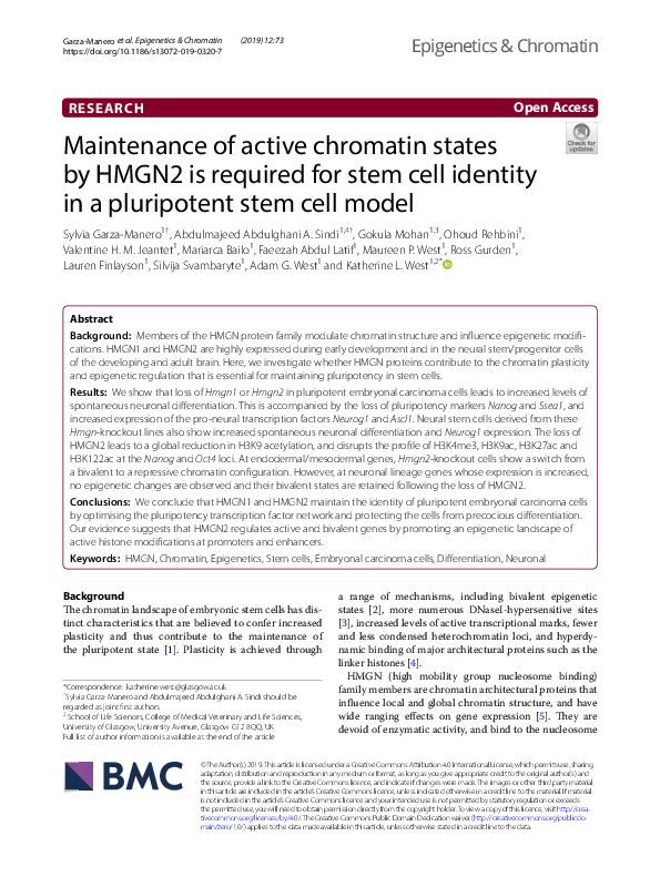 (PDF) Maintenance of active chromatin states by HMGN2 is required for ...