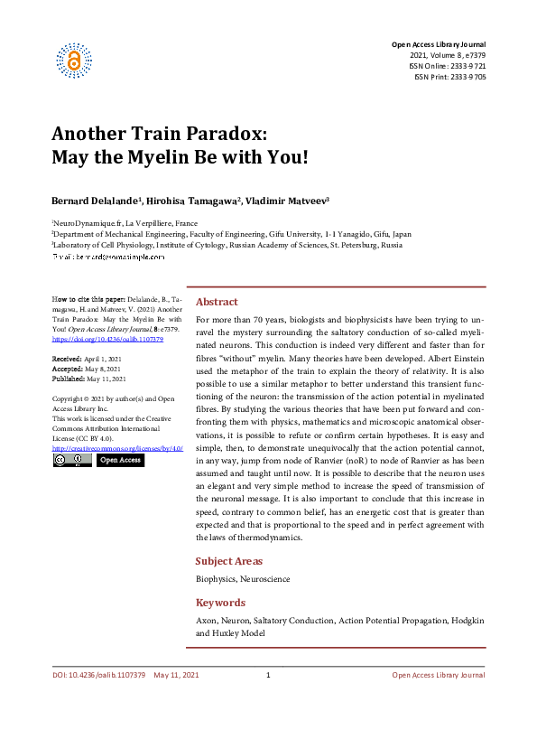 (PDF) Another Train Paradox: May the Myelin Be with You!