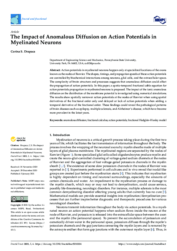 (PDF) The Impact of Anomalous Diffusion on Action Potentials in ...