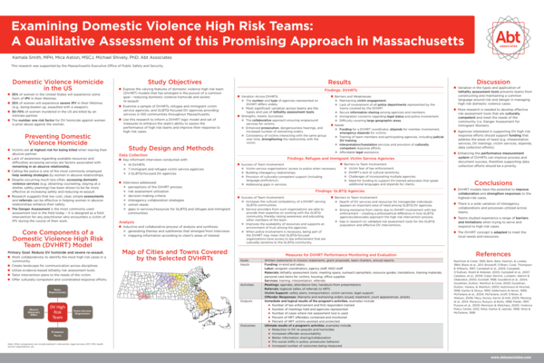 (PDF) Examining Domestic Violence High Risk Teams: A Qualitative ...