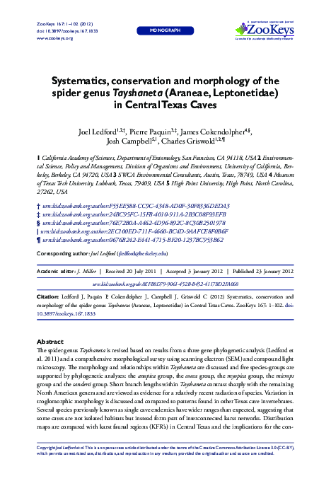 (PDF) Systematics, conservation and morphology of the spider genus ...