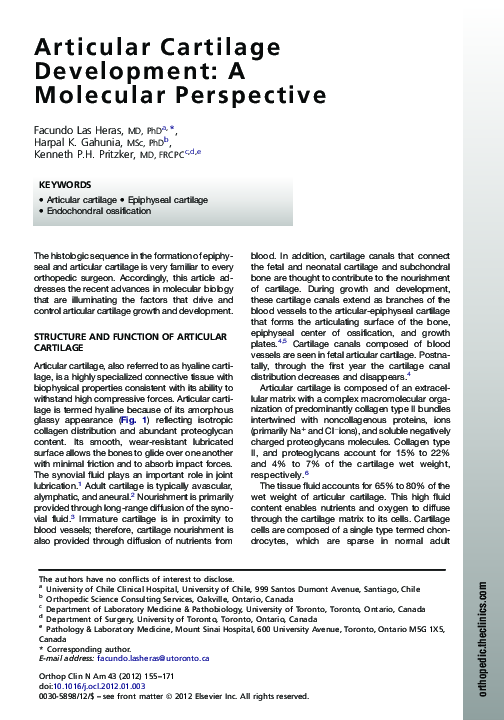 (PDF) Articular Cartilage Development: A Molecular Perspective