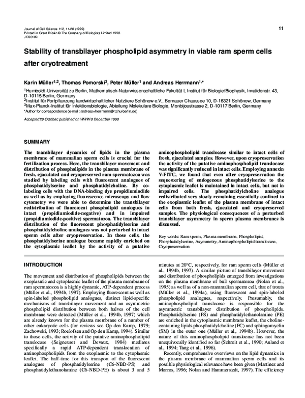(PDF) Stability of transbilayer phospholipid asymmetry in viable ram ...