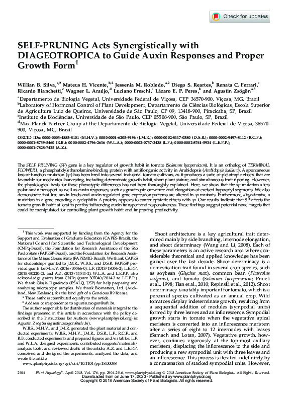 (PDF) SELF-PRUNING Acts Synergistically with DIAGEOTROPICA to Guide ...