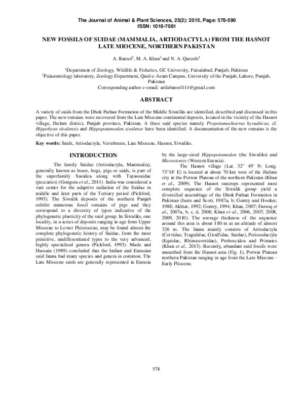 (PDF) New fossils of Suidae (Mammalia, Artiodactyla) from the Hasnot ...