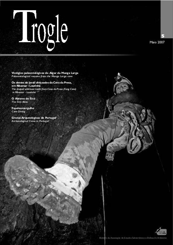 (PDF) Os dentes de Javali afeiçoados da Cova da Presa, em Ribamar - The ...