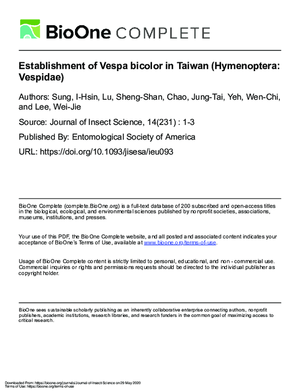 (PDF) Establishment of Vespa bicolor in Taiwan (Hymenoptera: Vespidae)