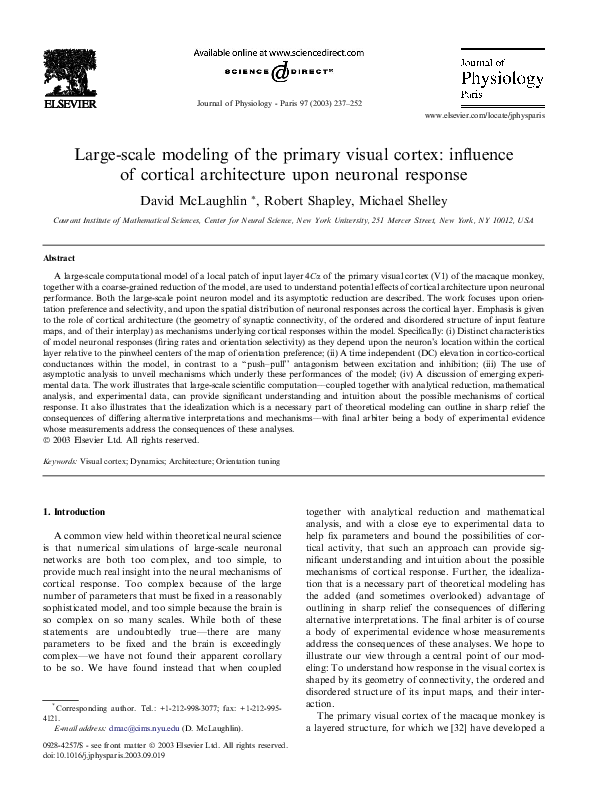 (PDF) Large-scale modeling of the primary visual cortex: influence of cortical architecture upon ...