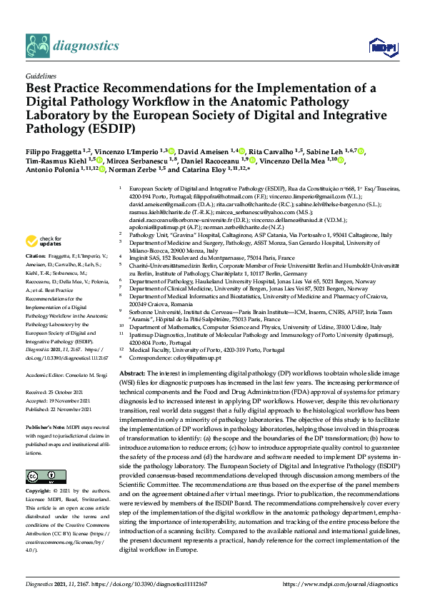 (PDF) Best Practice Recommendations for the Implementation of a Digital ...