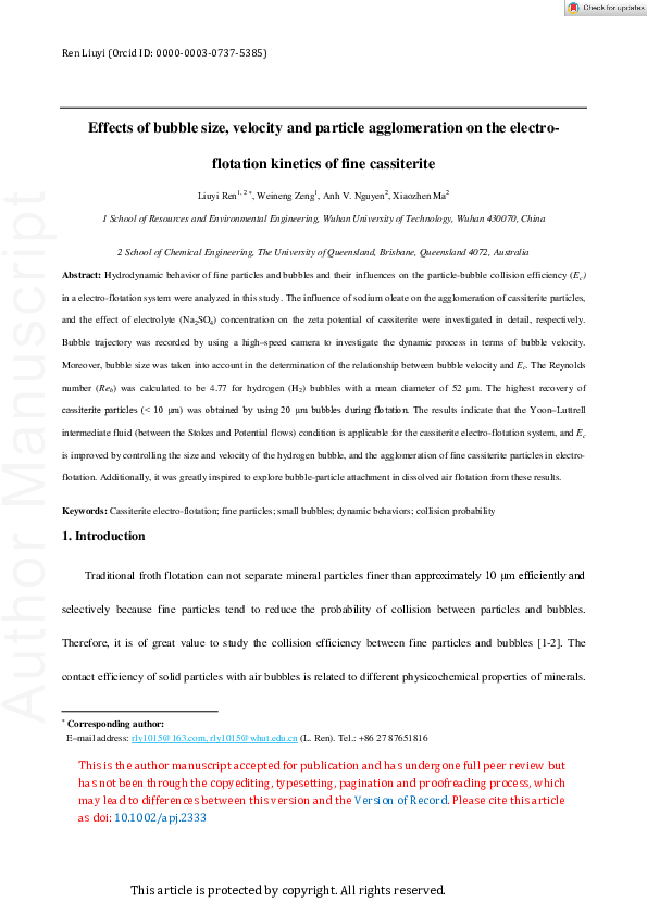 (PDF) Effects of bubble size, velocity, and particle agglomeration on ...