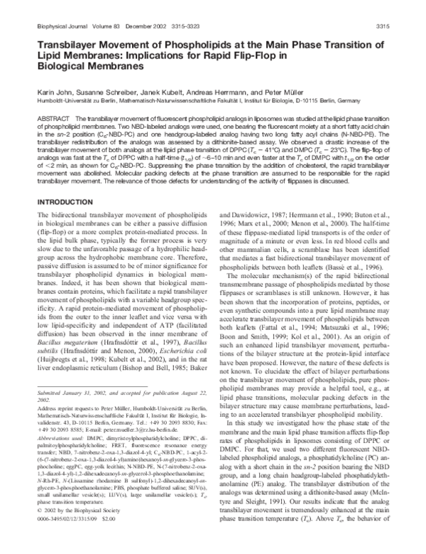 (PDF) Transbilayer Movement of Phospholipids at the Main Phase ...