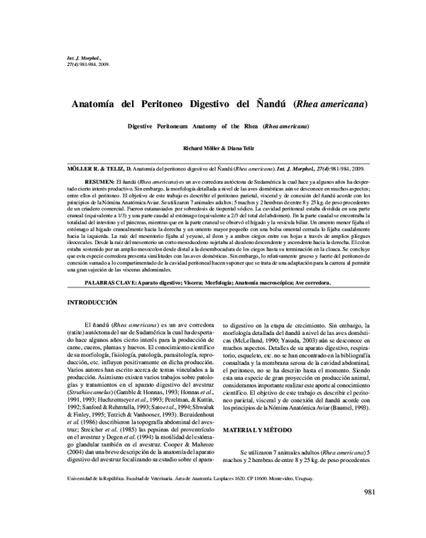 (PDF) Anatomía del Peritoneo Digestivo del Ñandú (Rhea americana ...