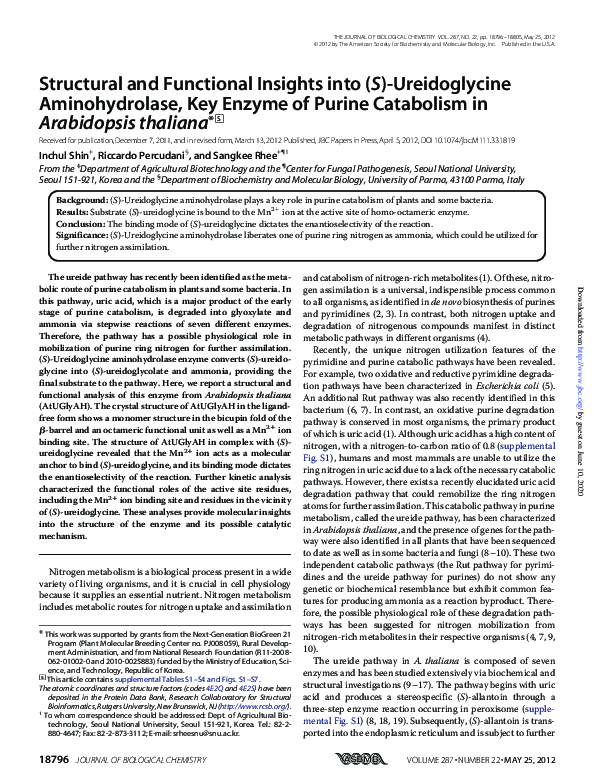 (PDF) Structural and Functional Insights into (S)-Ureidoglycine ...