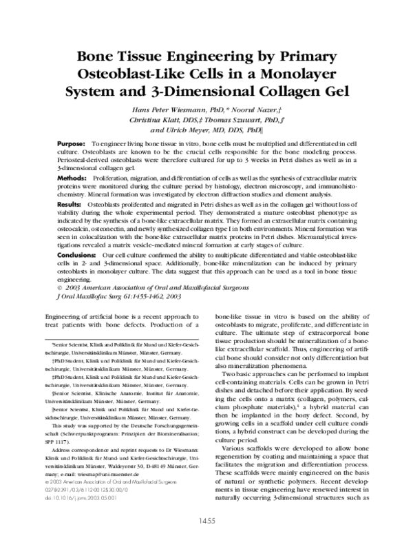 (PDF) Bone Tissue Engineering with Osteoblasts