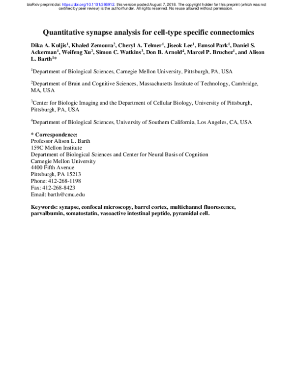 (PDF) Quantitative synapse analysis for cell-type specific connectomics