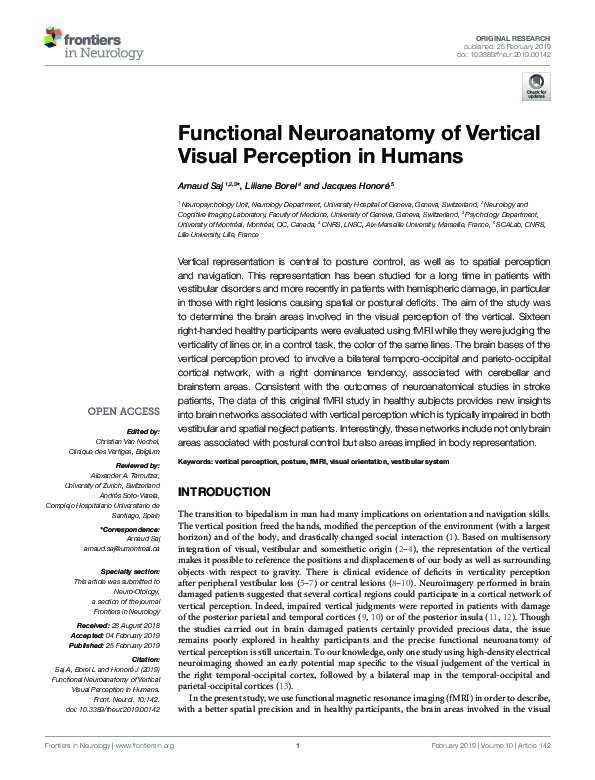 (PDF) Functional Neuroanatomy of Vertical Visual Perception in Humans | Liliane Borel - Academia.edu