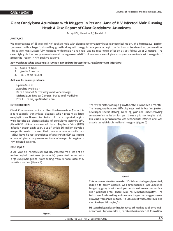(PDF) Giant Condyloma Acuminata with Maggots in Perianal Area of HIV ...