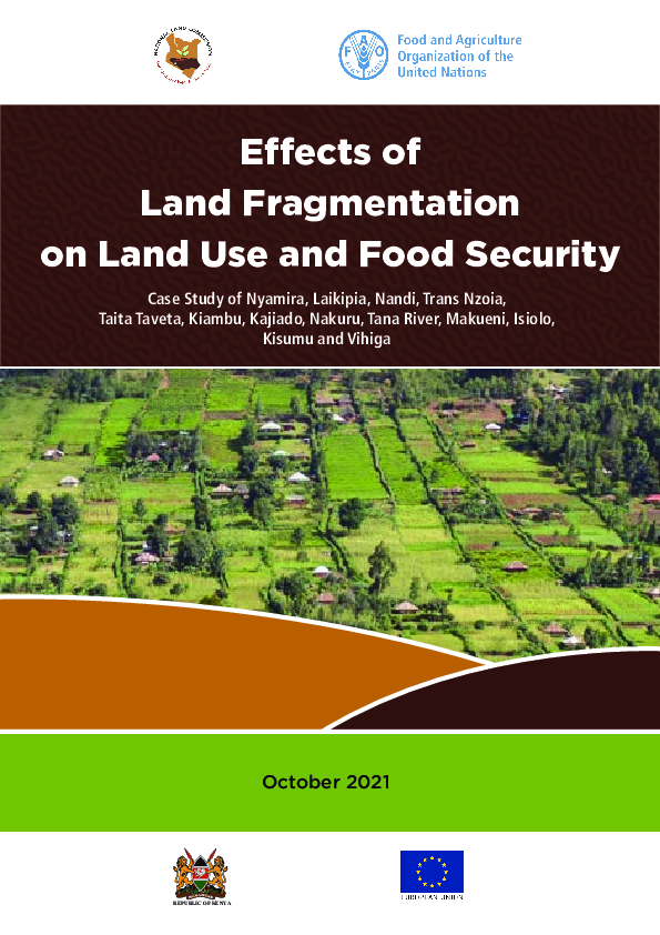 (PDF) Effects of Land Fragmentation on Land Use and Food Security in ...