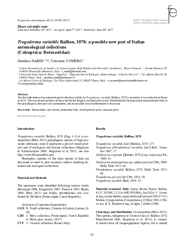 (PDF) Trogoderma variabile Ballion, 1878: a possible new pest of ...