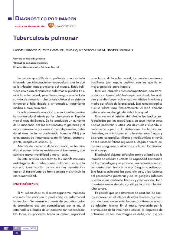 (PDF) Tuberculosis pulmonar