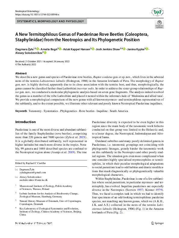 (PDF) A New Termitophilous Genus of Paederinae Rove Beetles (Coleoptera ...