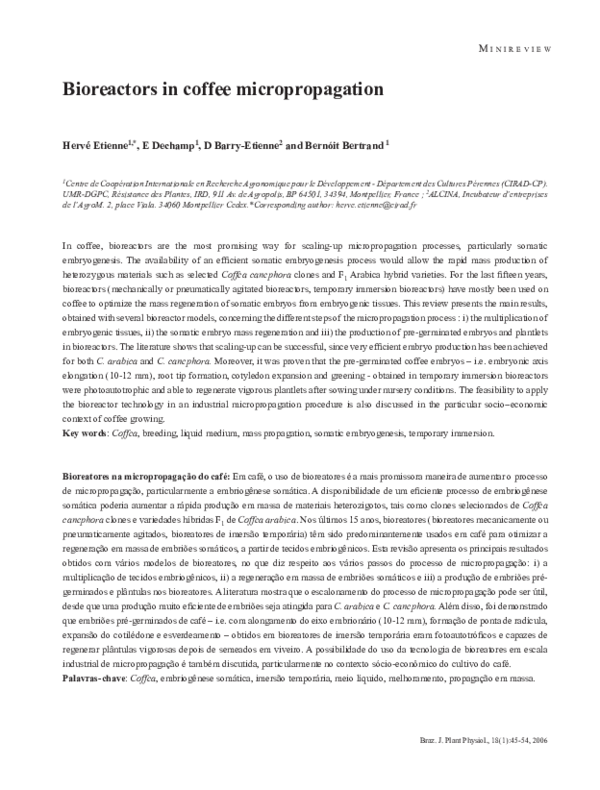 (PDF) Bioreactors in coffee micropropagation