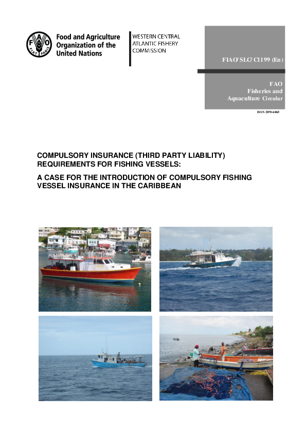 (PDF) Compulsory insurance (third party liability) requirements for ...