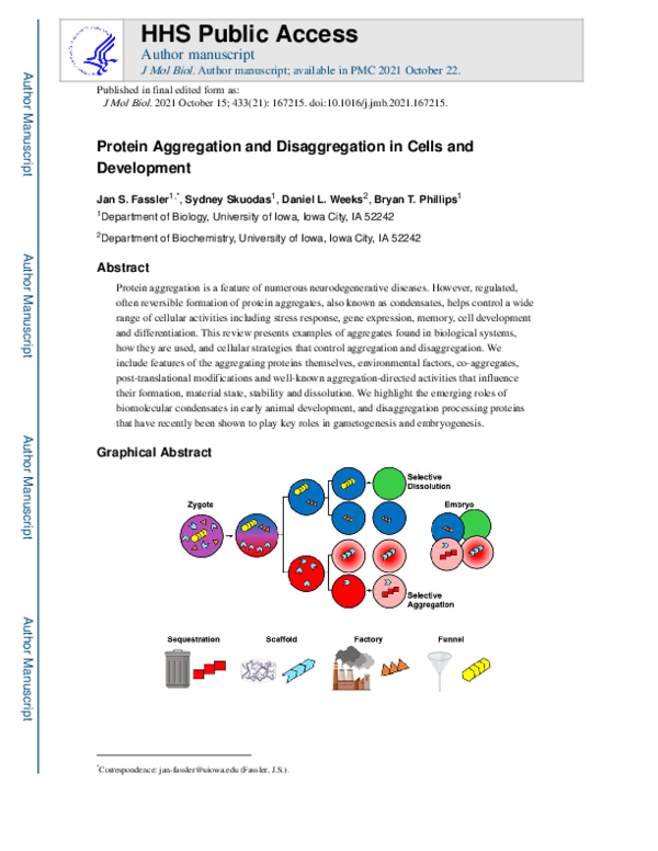 (PDF) Protein Aggregation and Disaggregation in Cells and Development