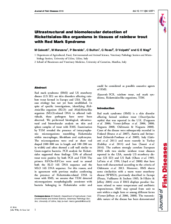 (PDF) Ultrastructural and biomolecular detection of Rickettsiales-like ...