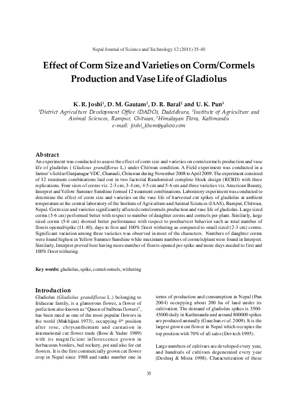 (PDF) Effect of Corm Size and Varieties on Corm/Cormels Production and ...