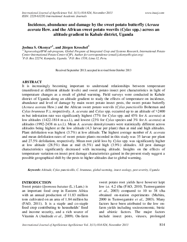 (PDF) Incidence, abundance and damage by the sweet potato butterfly ...
