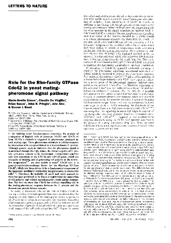 (PDF) Role for the Rho-family GTPase Cdc42 in yeast mating-pheromone ...