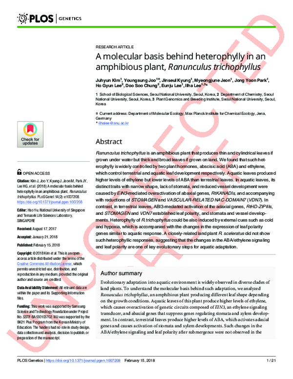 (PDF) A molecular basis behind heterophylly in an amphibious plant ...
