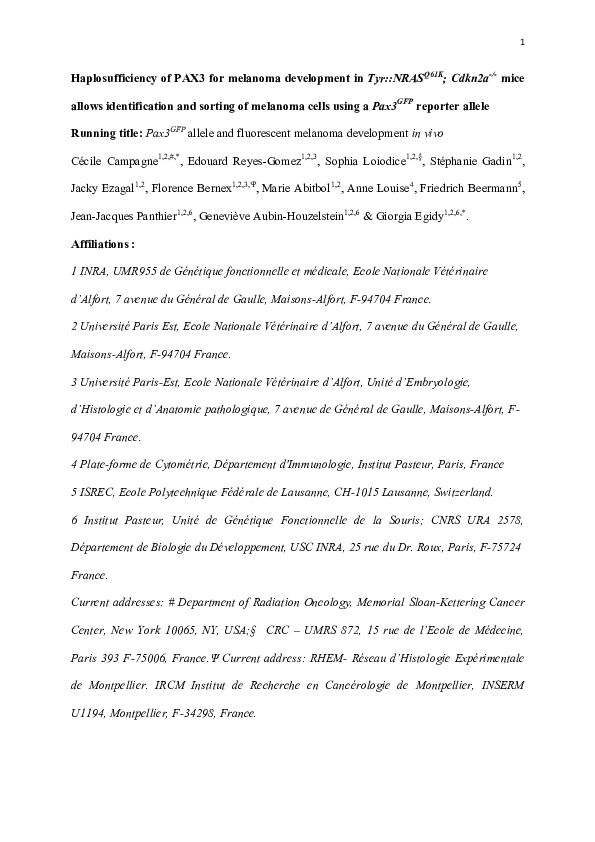 (PDF) Haplosufficiency of PAX3 for melanoma development in Tyr ...